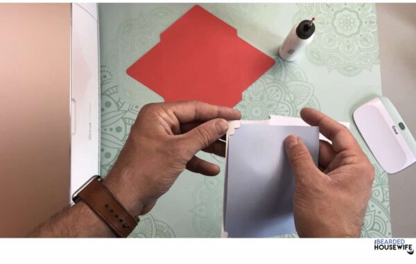 New Baby Insert Cards - The Bearded Housewife